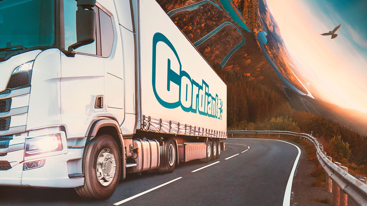 Cordiant Professional: профессиональные грузовые шины с поддержкой для ...